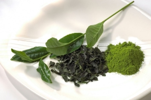 Ingredient Matcha - AOI Tea Company