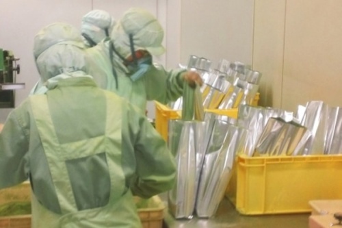 Matcha Quality Control - AOI Tea Company